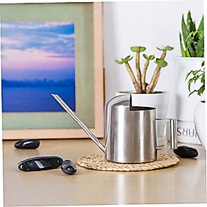 Eioflia Mini Watering Can,Watering Can Small,Stainless Steel Small Watering Pot with Long Spout Long Spout Bonsai Mini Watering Can for Kids Nursery Bonsai Indoor Houseplant (Silver)