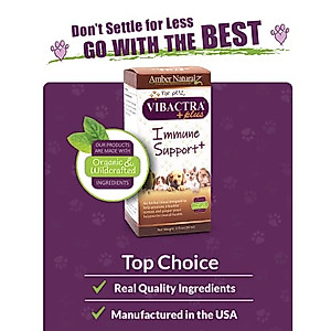Amber NaturalZ - Vibactra Plus Immune Support Plus - an antioxidant enriched formula helps fight free radicals, supports healthy yeast balance, maintains healthy gut flora, supports upper respiratory health and oral health - 1 Oz