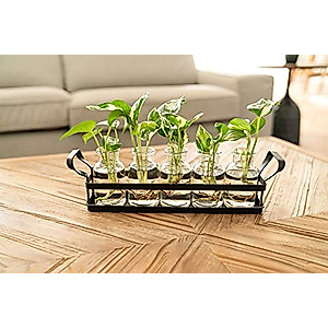 Mkono Plant Terrarium with Metal Stand, Retro Glass Planter Tabletop Flower Vase Perfect for Propagating Hydroponic Plants Flower Cutting Cute DIY Centerpiece Home Office Garden Decor, 5 Bottle