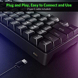 Fiodio 61 Keys RGB Wired Mechanical Gaming Keyboard with Audible Click Sound Blue Switches, Compact Mini Portable Computer Keyboard for Windows Gaming PC,F-DB21