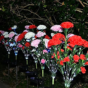BeHiller Carnations Solar Flower Light Outdoor Decor,42Red Flowers Gifts for Grandma,Birthday,Mom Gifts Garden Pathway Lights,Unique Gifts Solar Decorative Lights for Patio,Grave Cemetery Yard-2Pack