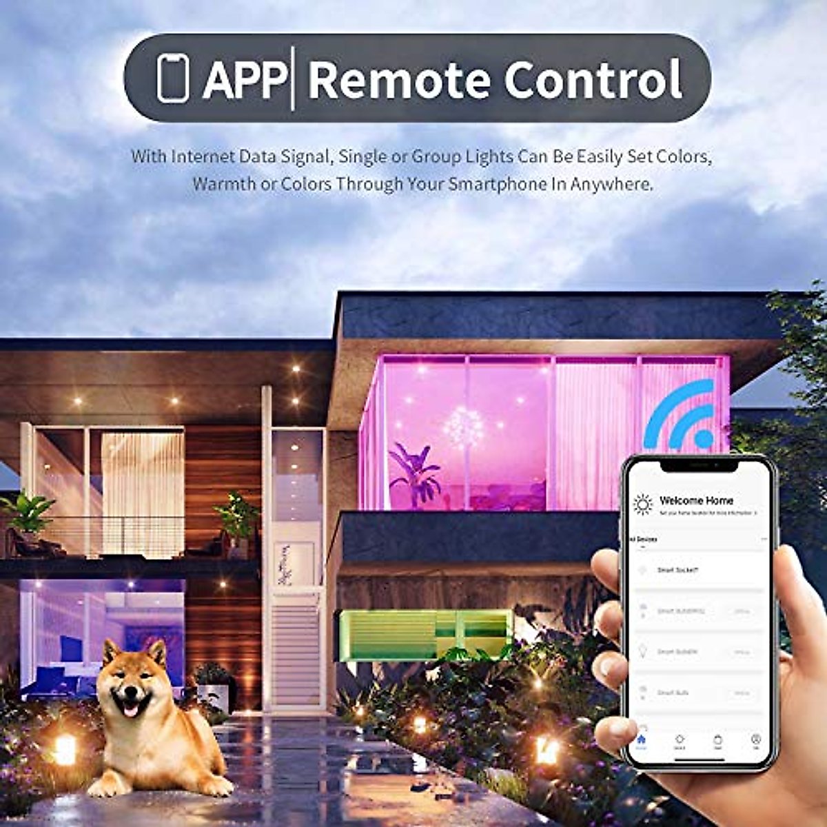 Avatar Controls Smart LED Light Bulb, Alexa Light Bulbs WiFi Dimmable 2 Pack Work with Google Home/Smart Life APP, RGBCW Color Changing Lights, No Hub Required (800LM E26 A19 8W=70W Equivalent)