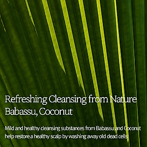 Bouquet Garni NARD Hair Shampoo Lavender Musk - Scalp Vitality, and Soft Cleansing (Containing Argan Olive Jojoba Macadamia Sunflower Oil, Protein, and Amino Acids) - 16.9 oz