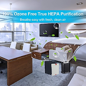 Flintar HPA100 H13 True HEPA Replacement Filter A/R Combo Pack, Compatible with Honeywell Air Purifier HPA100, HPA094, HPA3100, HPA5100 Series, True HEPA Filter R + 4 Pre-Cut Carbon Pre-Filter A