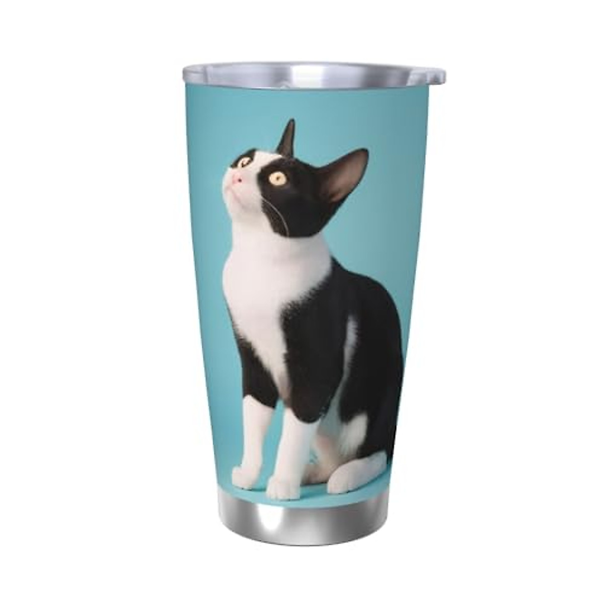 EKPRAVDKTF Cat 20oz Insulated Stainless Steel Tumbler With Lids And Straws, Double Wall Vacuum Travel Coffee Mug, Thermal Cup For Cold & Hot Drinks, Reusable Metal Straw & Brush