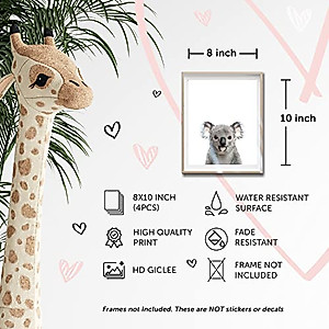 Designs by Maria Inc. Animal Posters | Baby Nursery Decor | Baby Room Pictures Art | Cute Animal Pictures | Set of 6 UNFRAMED Wall Prints | Boy & Girl Baby Room Wall Decor Animal Print (8"x10")