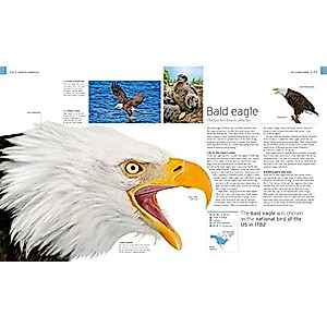 Wildlife of the World