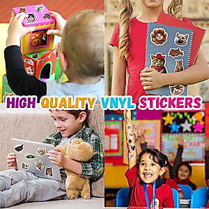 100 Pcs Cute Cat Stickers for Kids, Waterproof for Kids,Vinyl for Water Bottle,Laptop,Phone,Skateboard Stickers for KidsTeens Girls and Boys