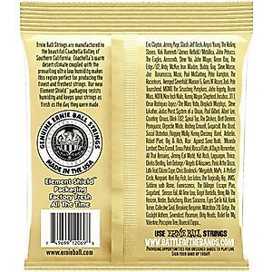 Ernie Ball Folk Nylon Clear & Gold Ball-End 80/20 Bronze Acoustic Guitar Strings, 28-42 Gauge (P02069)