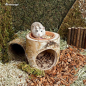 Niteangel Hamster Hideout Tree Trunk Tunnel for Dwarf Syrian Hamsters Gerbils and Small Animals (Tunnel Hideout w/Bowl)