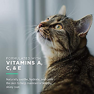 Wet Ones for Pets Hypoallergenic Multi-Purpose Wipes for Cats | Extra Gentle Fragrance-Free Cat Grooming Wipes with Vitamins A, C, & E, Wipes with Wet Lock Seal | 30 Count Pouch Cat Wipes