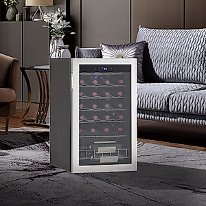 Techomey Wine Fridge Freestanding, 28 Bottle Compressor Wine Cooler Refrigerator with Digital Thermostat and Glass Door, Stainless Steel