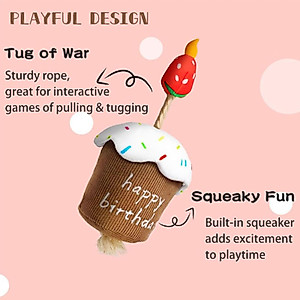 Squeaky Pet Toys - Stuffed Toy Squeaky, Teething Chew Toys, Interactive Cake Shape Pet Plush Toys with Sound, Dog Crinkle Plaything Pet Dentals Health for Breeds Squeaks Pets Dogs Birthday Gfitss