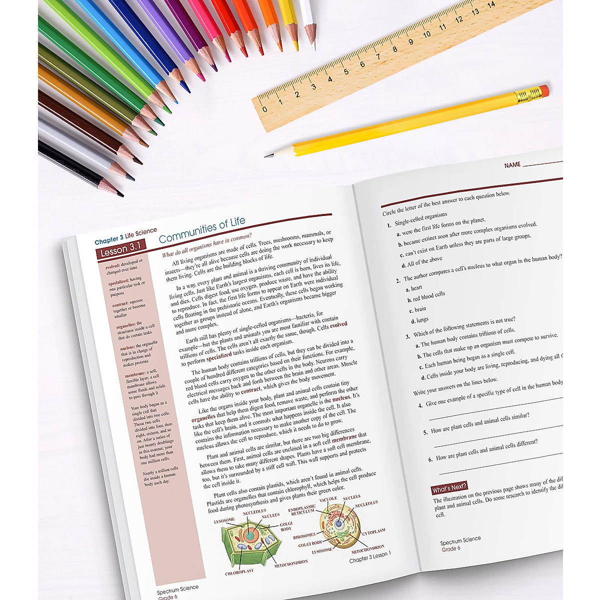 Spectrum 6th Grade Science Workbook, Ages 11 to 12, Grade 6 Science Workbooks, Natural, Earth, and Life Science, Science Book With Research Activities - 176 Pages