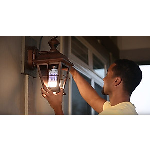 2 PACK Bug Zapper Light Bulb 2 in 1 LED Electronic Light Trap for Fruit Flies, Mosquito, Bug, Insect and Fly Control Killer - Traps