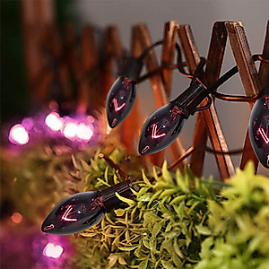 CHYSUPER C7 Replacement Bulbs, Christmas Light Bulbs, Dark Purple 5W Incandescent Bulbs for Halloween Outdoor String Lights Xmas Tree Patio Party Decor, C7 Bulbs E12 Candelabra Base- 25 Pack