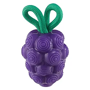 Outward Hound by Planet Dog Dental Grapes Dental Chew Toy and Interactive Treat Stuffer Durable Dog Toy Stuffable Dog Toy, Medium, Purple