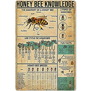 Honey Bee Knowledge Metal Tin Sign Information About Bees Planing Diagram Poster Plaque for School Education Bar Cafe Club Home Kitchen Wall Decoration 8x12 Inches