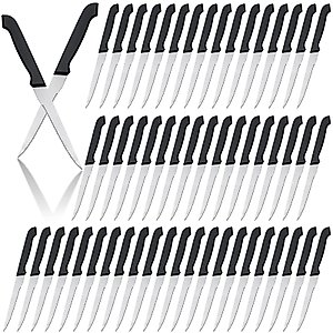 Therwen 100 Pieces Serrated Edge Pointed Tip Steak Knives Stainless Steel Steak Knife with Serrated Edge 8.8 Inch For Kitchen Restaurant Tableware Camping