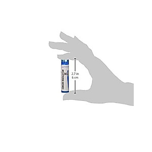 Boiron Conium Maculatum 3C for Dizziness Triggered by Moving The Head - 80 Pellets