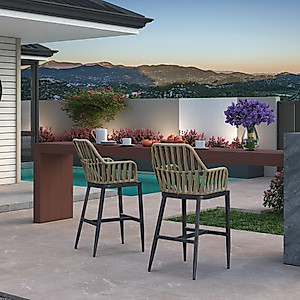 PURPLE LEAF Bar Stool Set of 2 Bar Height Stools with Back Modern Bar Chairs Wicker Woven Tall Barstools Dark Grey Bar Stool Chairs