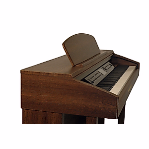 SUZUKI Classroom Teaching, 88-Key Digital Piano with Matching Bench, Black Finish (CTP-88)