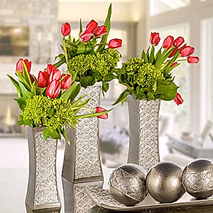 Creative Scents Dublin Decorative Tray and Orbs Balls Set - Centerpiece Bowl with Balls for Dining Room Table, Rustic Decorated Spheres Kit for Living Room Coffee Table, Gift Boxed (Brushed Silver)