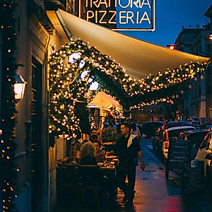 100 Counts Clear Christmas String Lights - 3 Pack 26.5 Feet Warm Mini Lights for Christmas Indoor Outdoor Patio Wreath Garden Wedding Party Thanksgiving Holiday Decorations, Green Wire