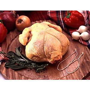 Clucker-Truss Gourmet Elastic Trussing Strings; 6 Inch White Heavy Duty (80 pack, White)