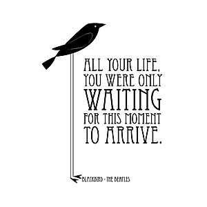 Blackbird - The Beatles Music Decor Wall Art, Our Vintage Decor Retro Music Poster is A Great Print For Bedroom Decor, Music Room, Office Decor, And Man Cave Room Decor Aesthetic, Unframed - 8x10