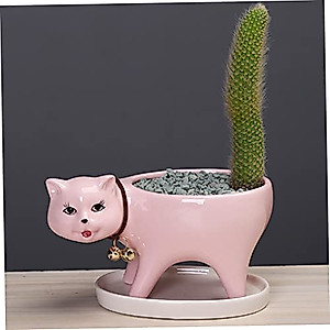 HANABASS Decoration Animal Lovely Tail Pink Decor Gift and Saucer Office Cat Desktop Planter Plant Shaped Drainage Bonsai Flowerpot Mini Panda Pots with for Statue Decorative Pot Home Tray