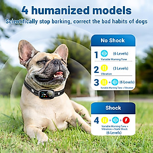 Dog Bark Collar, Dog Shock Collar for Large Medium Small Dogs 10-150lbs, Rechargeable Anti Barking Training Collar with 5 Adjustable Sensitivity, IP67 Waterproof Dog bark Deterrent Devices (Black)