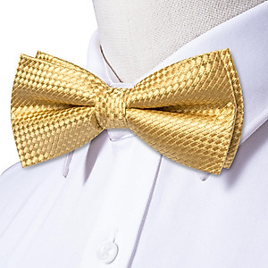Dubulle Mens Pre-tied Bowtie and Pocket Square Set Paisley/Striped/Checks Bowties for Men,Gold Checks
