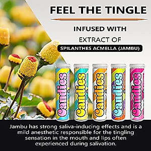 Xero Picks - Infused Flavored Toothpicks for Long Lasting Fresh Breath - Variety Packs (Candies, 5 Pack)