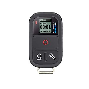 GoPro Smart Remote Control - Compatible with HERO8 Black, MAX, HERO7 Black, HERO6 Black, HERO5 Black, HERO5 Session, and Fusion (GoPro Official Accessory)
