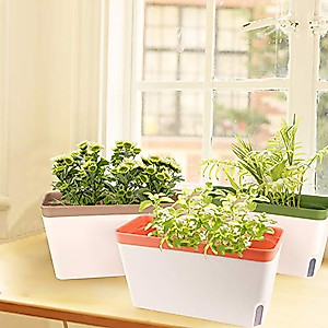 OurWarm Windowsill Herb Planter Box Indoor Set of 3, 10.5 Inch Self Watering Planter Pots with Visual Water Level Window, Modern Plastic Plant Pots for Herbs, Vegetables, Succulents Plants