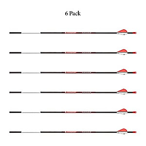 BLOODSPORT Punisher Precise Durable Carbon Fletched Hunting Arrow for Compound Bow - 31" Length, 244" Standard-Diameter, 004" Straightness, 6 Pack, 350 Spine,Black