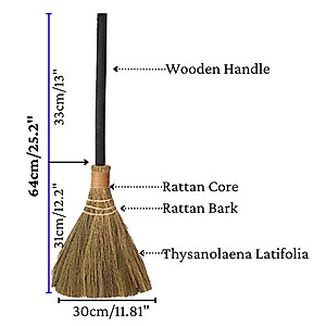 TTS For Home Natural Whisk Sweeping Hand Handle Broom - Vietnam Handmade Straw Soft Broom - Wedding Broom 11.81" Width,26" Length