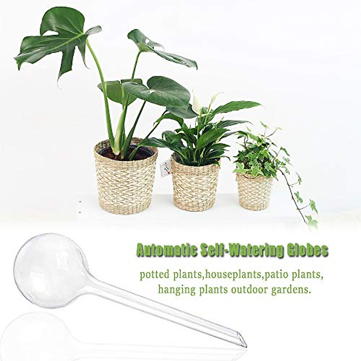 Jnynhha 6PCS Clear Plant Watering Bulbs,Automatic Watering Globes,Plastic Self Watering Bulbs Ball for Plant,Garden,Indoor Outdoor Decoration