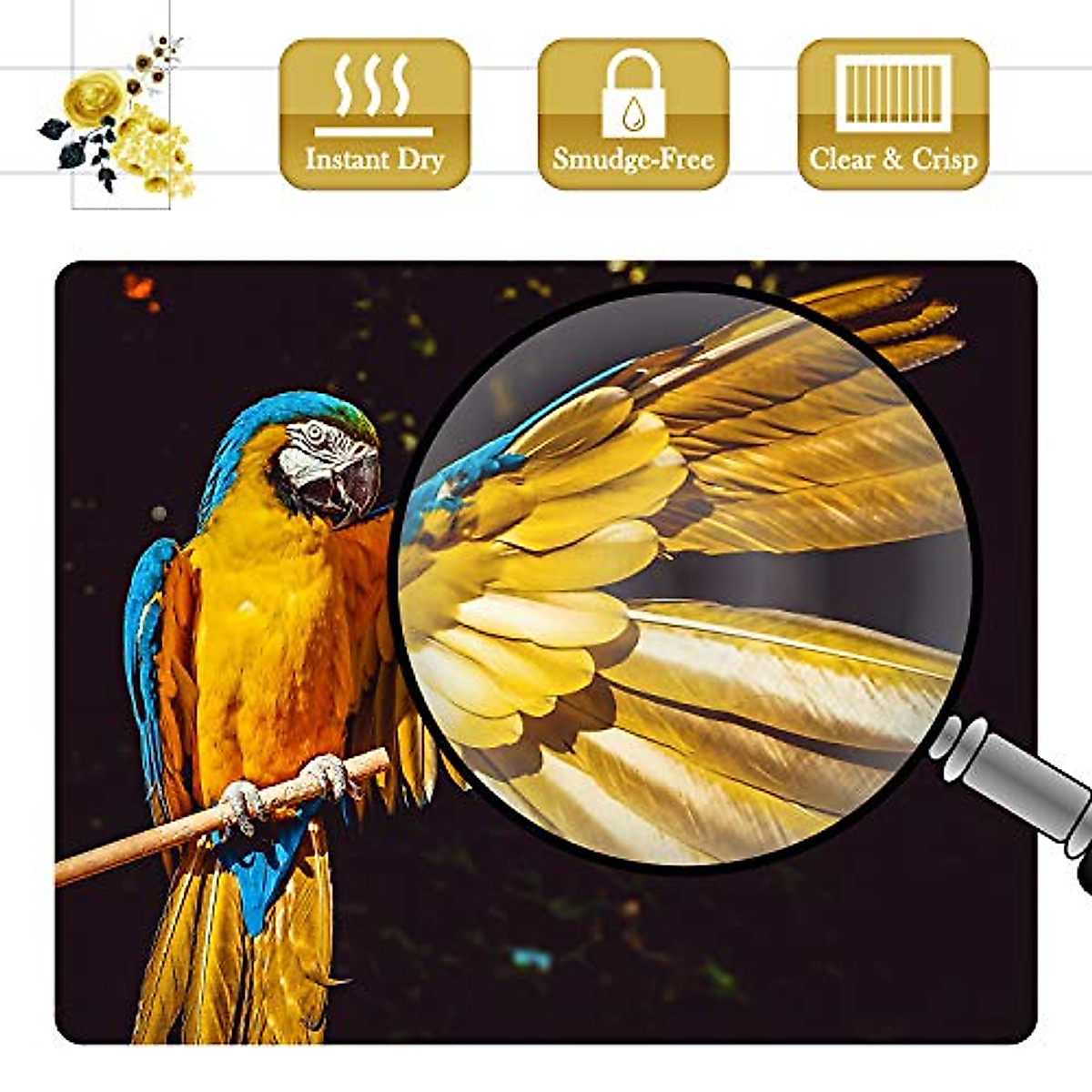 A-SUB Premium Photo Paper Luster 11x17 Inch 66lb for Inkjet Printers 50 Sheets