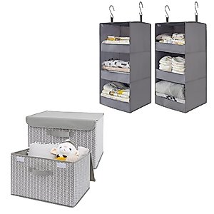 GRANNY SAYS Bundle of 2-Pack Hanging Organizer for Closet & 2-Pack Closet Storage Bins