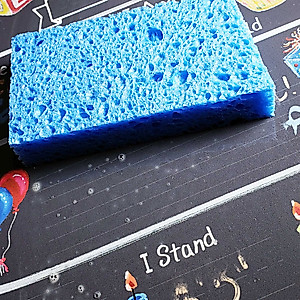 Cohas Hello World Newborn Baby Announcement Chalkboard Sign with Mixed Flower Theme, 9 by 12 Inches, Lilac Marker