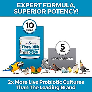 Vital Planet - Flora Bird Probiotic Powder Supplement with 10 Billion Cultures and 7 Diverse Strains, High Potency Probiotics for All Birds for Avian Digestive and Immune Support 80 Scoops 1.06 oz