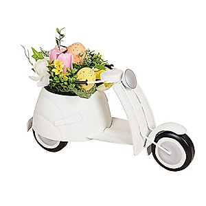 Ashland Michaels 14.5”; Tulip Bike Arrangement