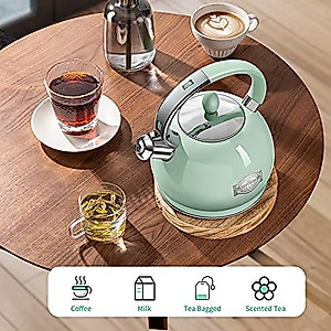 RETTBERG Tea Kettle for Stovetop Whistling Tea Kettles Retro Red Stainless Steel Teapots, 2.64 Quart (Mint Green)