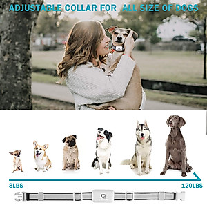 Paws Furlosophy Dog Training Collar with Remote, No Shock Collar for Dogs, 1000ft Remote Control Dog E Collar,3 Training Modes, Suitable for Small, Medium, Large Dogs, IPX7 Waterproof