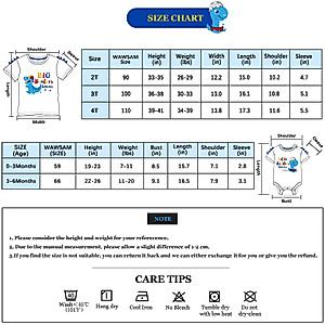 WAWSAM Big Brother Little Brother Matching Outfits Big Bro Little Bro Sibling Shirt Set Dinosaur Matching Outfit Gifts Included Big Bro. T Shirt Lil Bro Bodysuit Set