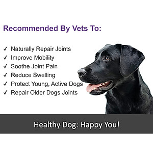 Advanced Joint Repair + Hemp Hip & Joint Health Supplement for Dogs - Relieves Arthritis, Pain & Inflammation, Improve Mobility, Extra Strength Soft Chew Treats with Glucosamine, Chondroitin & MSM