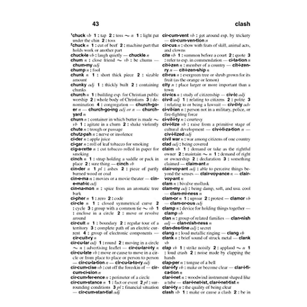 Webster's Dictionary & Thesaurus, Newest Edition