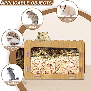 Hamster Digging Box, Small Visible Hamster Digging Room with Acrylic Transparent Board, Hamster Hideout and Exploration House with Climbing Ladder, Hamster Digging Wood Toy for Guinea Syrian Hamsters